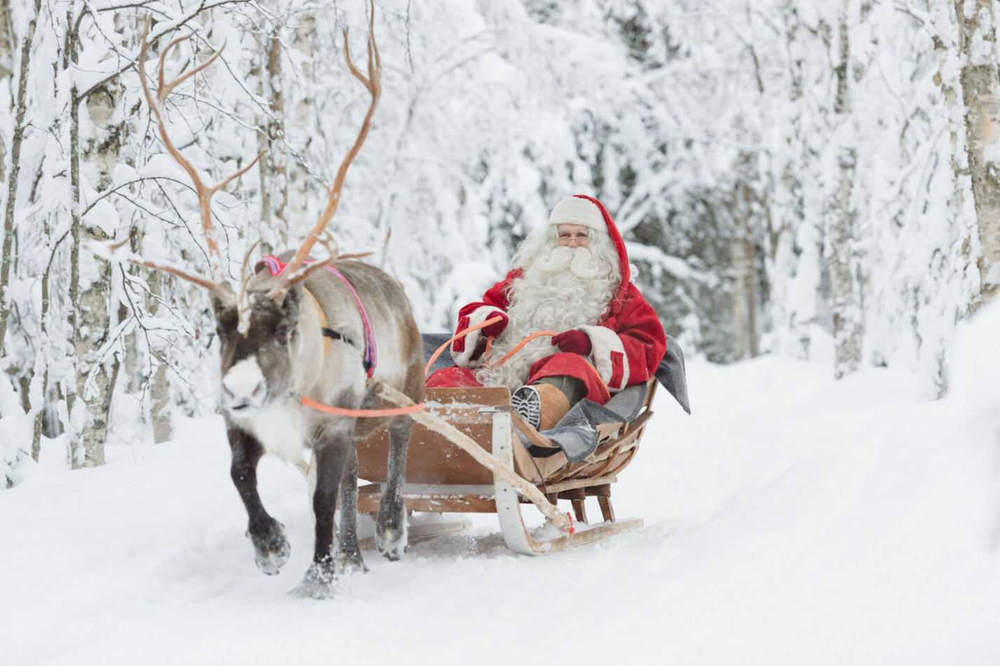 Meet Santa in the Heart of Winter Lapland – The Family Travel Club